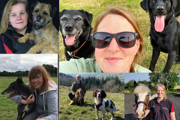 #VNAM2023: Meet the Hartpury University Veterinary Nursing team