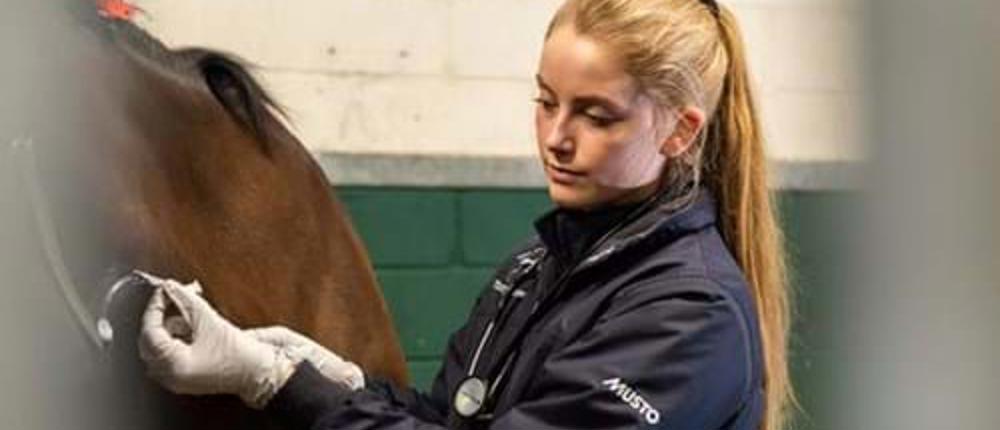 Hartpury University receives RCVS accreditation for UK's first equine veterinary nursing ...